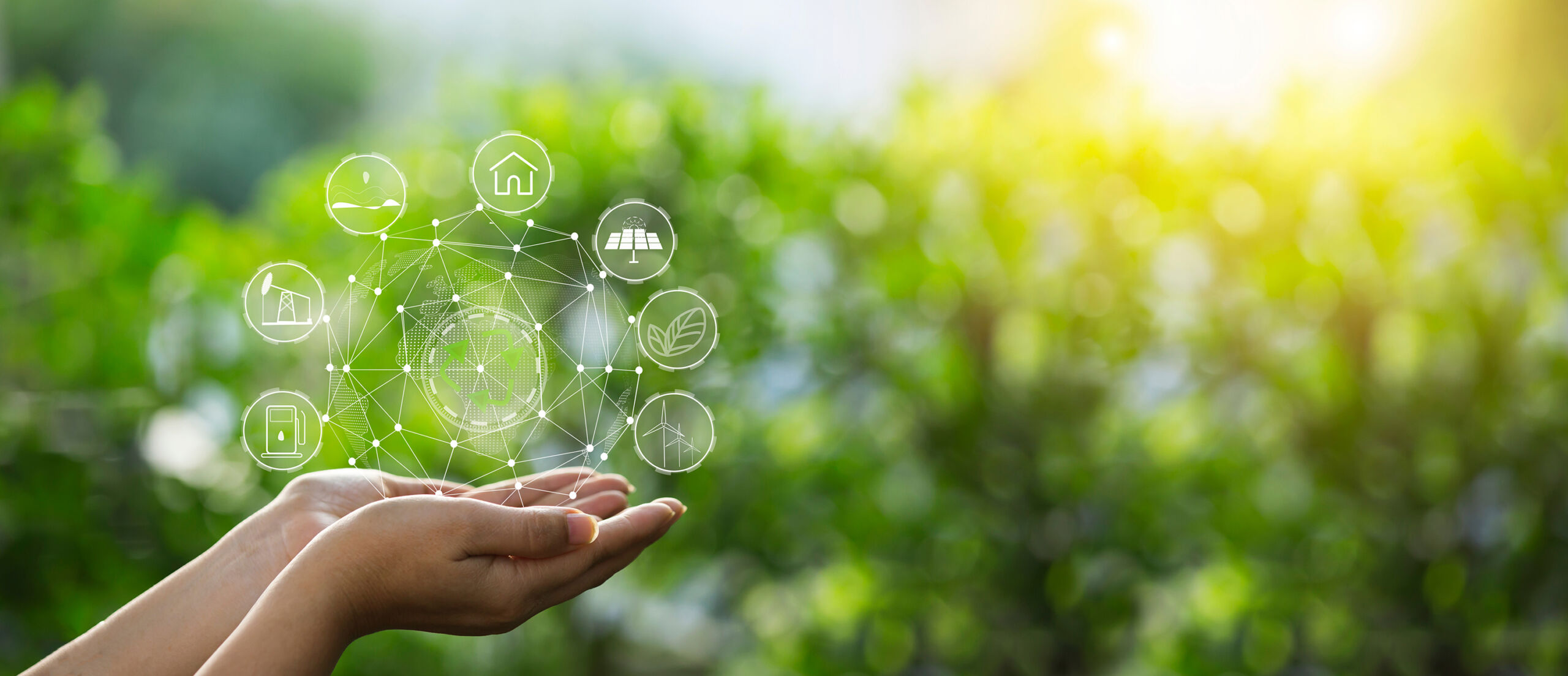 Forestry - Karelia University of Applied Sciences