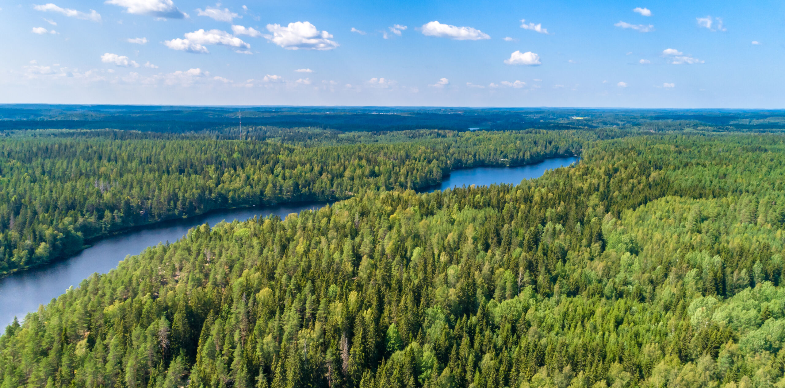 Future Forest Management - Karelia University of Applied Sciences